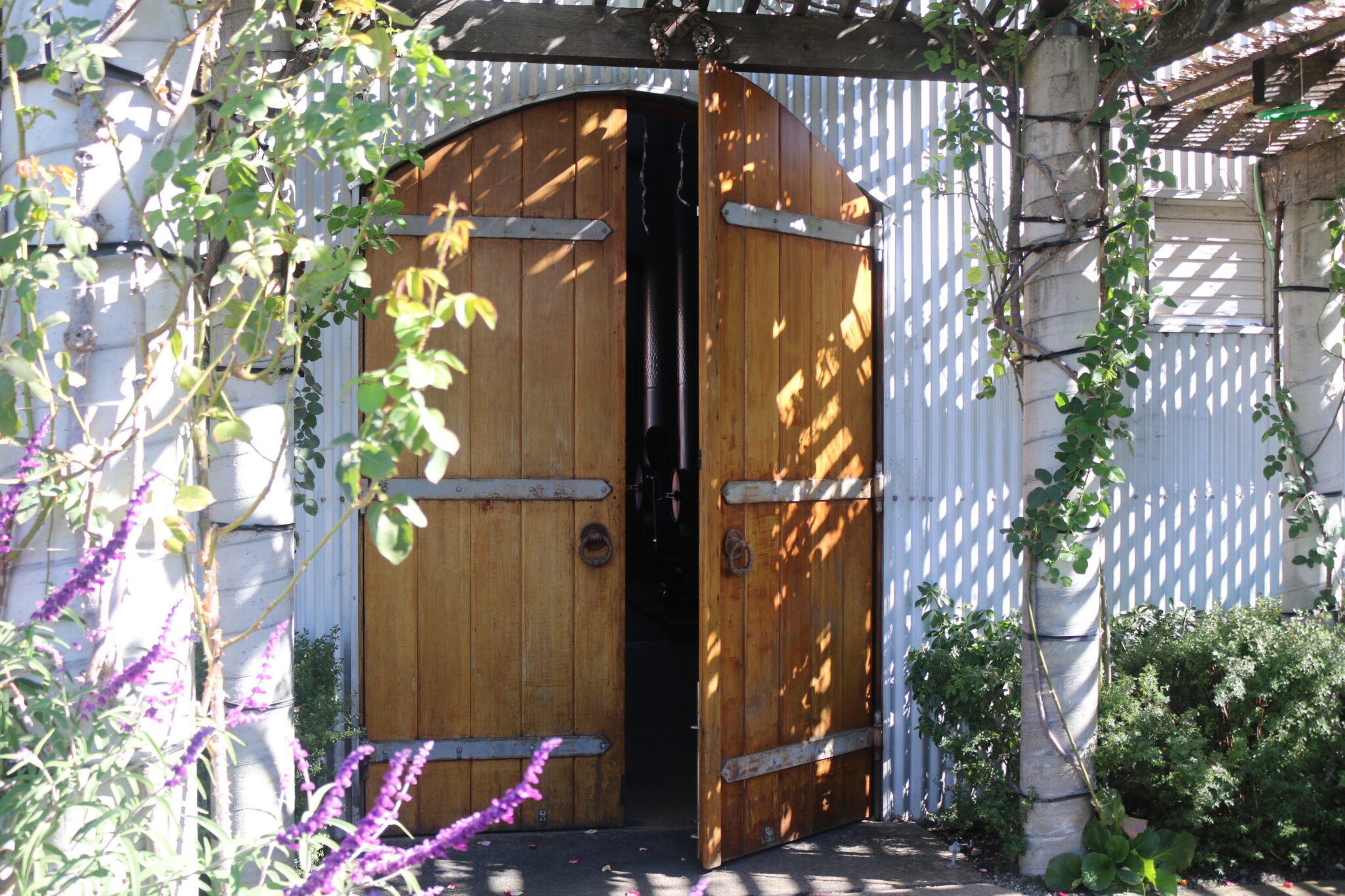 Home - Hagafen Cellars